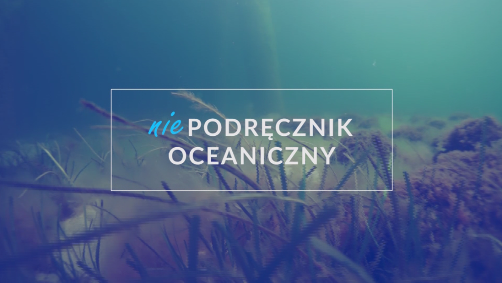 Niepodręcznik Oceaniczny - Today We Have